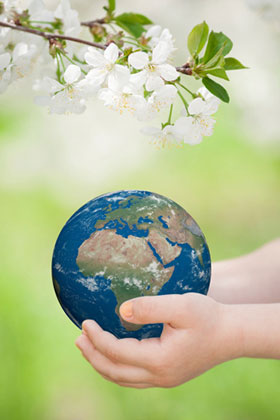 Help the Earth Every Day | Central Rappahannock Regional Library