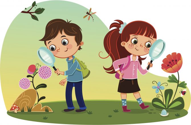 June Bugs and Other Fantastic Creatures | Central Rappahannock Regional ...